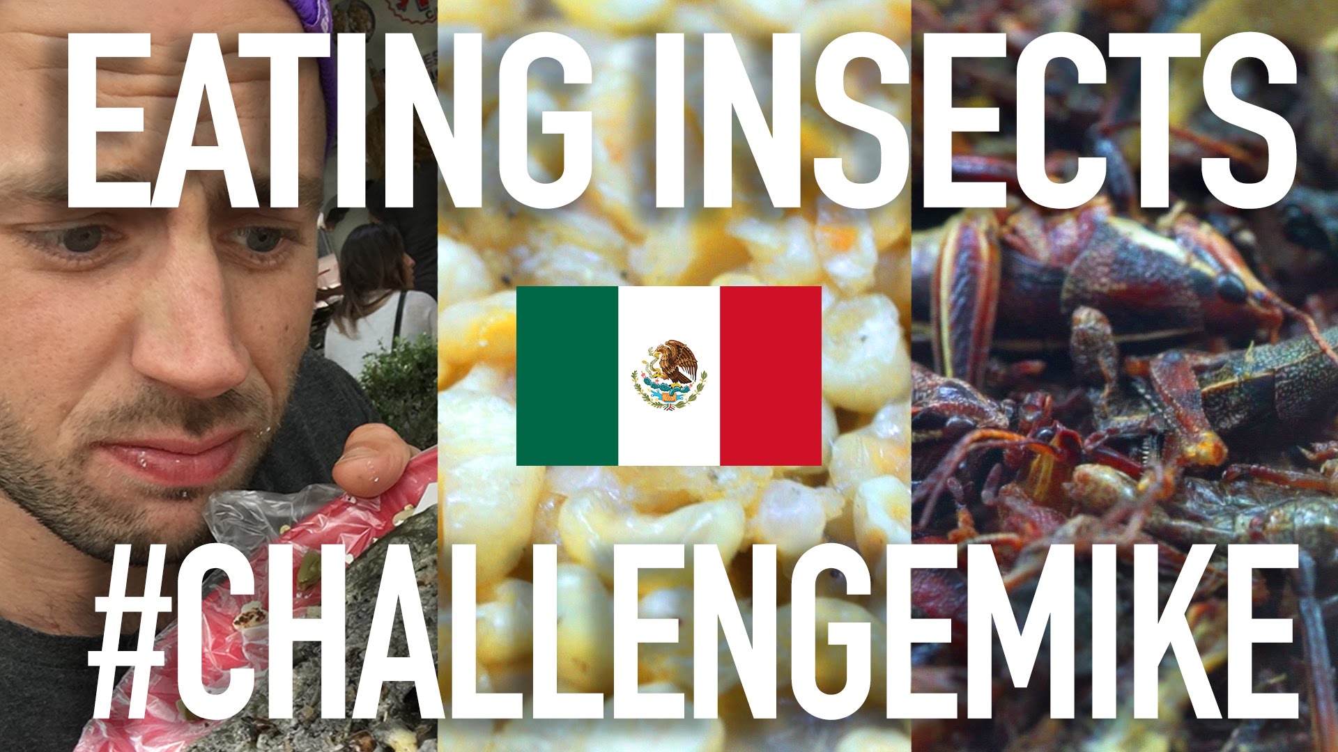 MEXICO: EATING INSECTS - Globalist Travels